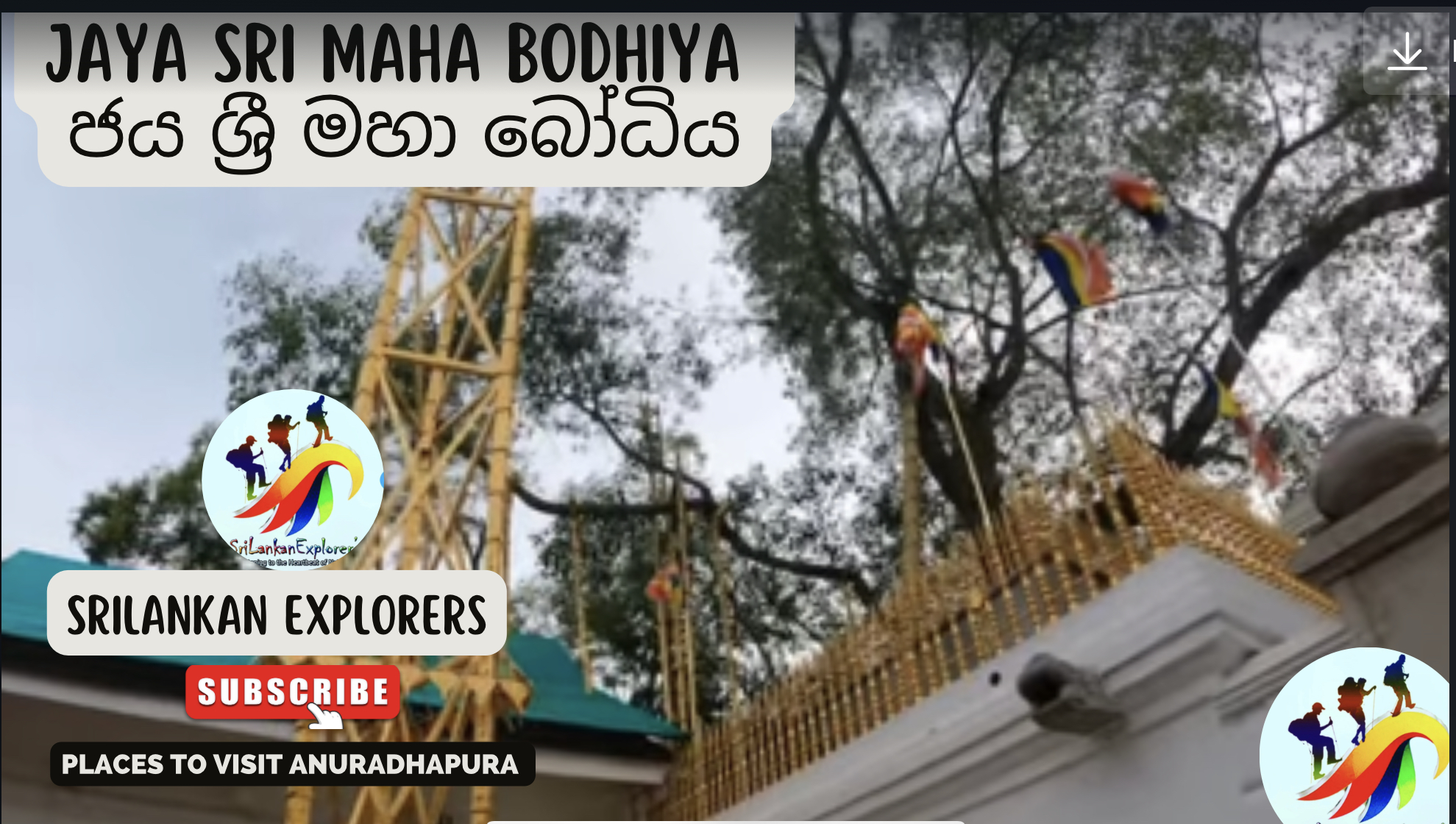 06 Jaya Sri Maha Bodhiya ජය ශ්‍රී මහා බෝධිය Anuradhapura - Srilankan ...